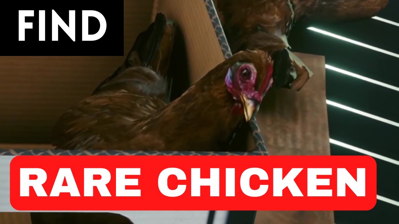 Rare Chicken NPC found in Night City - YouTube