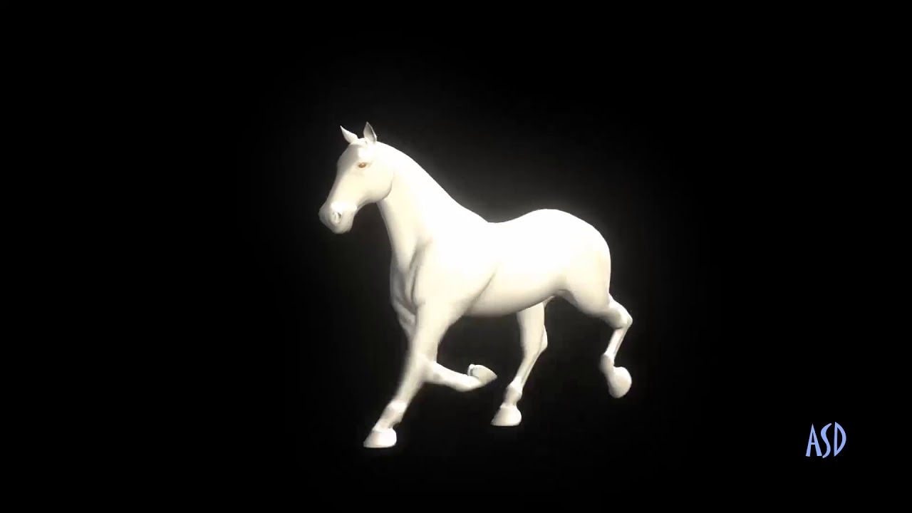Horse Trot Animation in 3D - YouTube
