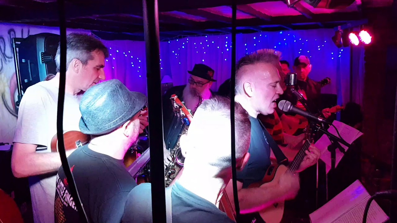 Not quite dead yet punk band at the cottage of content - YouTube