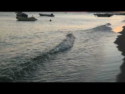 Yıldırım Caner - Bu Kadını Seviyorum