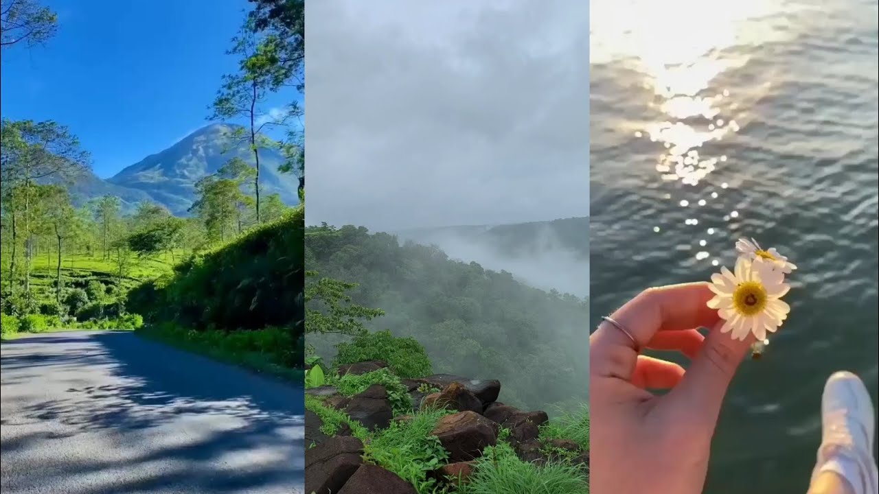 Muskurana song WhatsApp status ⭐ Aesthetic status 💫 Lofi song status ️ ...