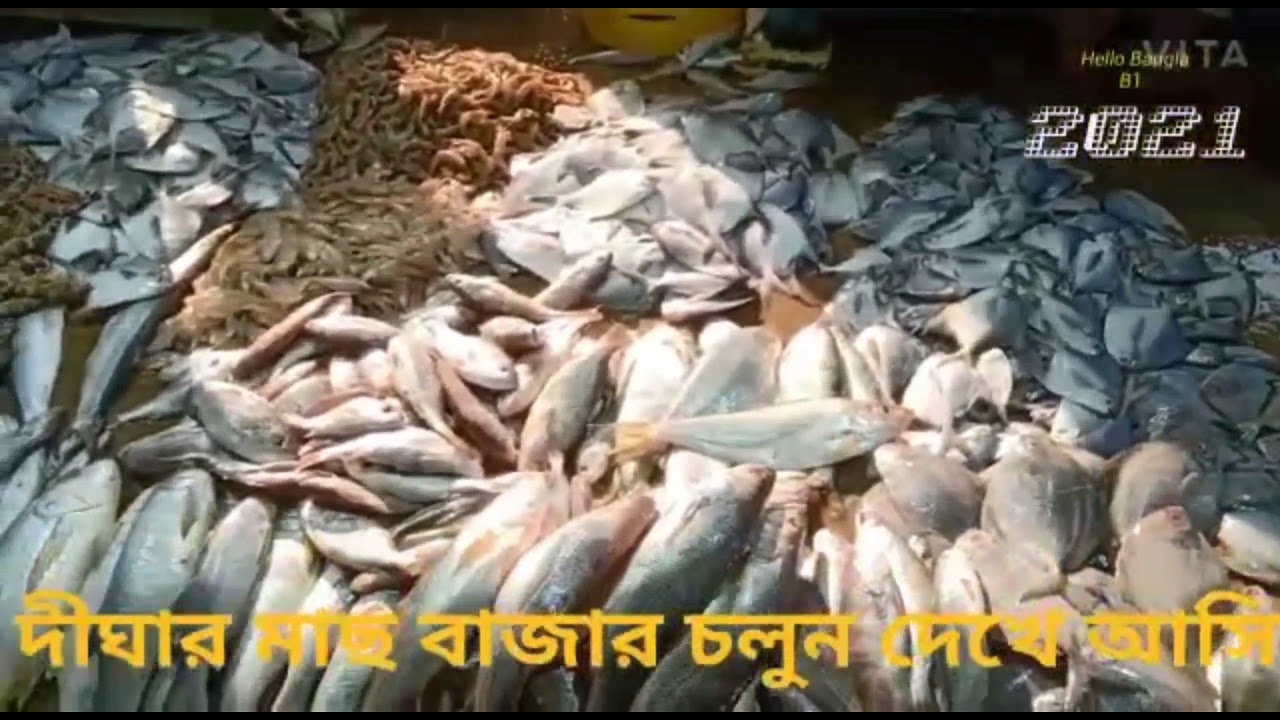 Digha machli bazar - YouTube