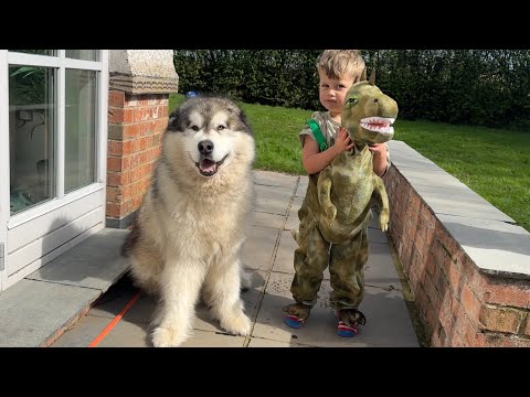Adorable Baby Boy Scares His Dog With Dinosaur Costume (Cutest Ever!!)