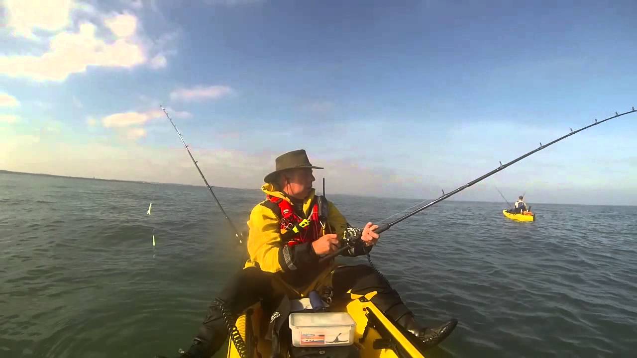 Cod and Pout - YouTube