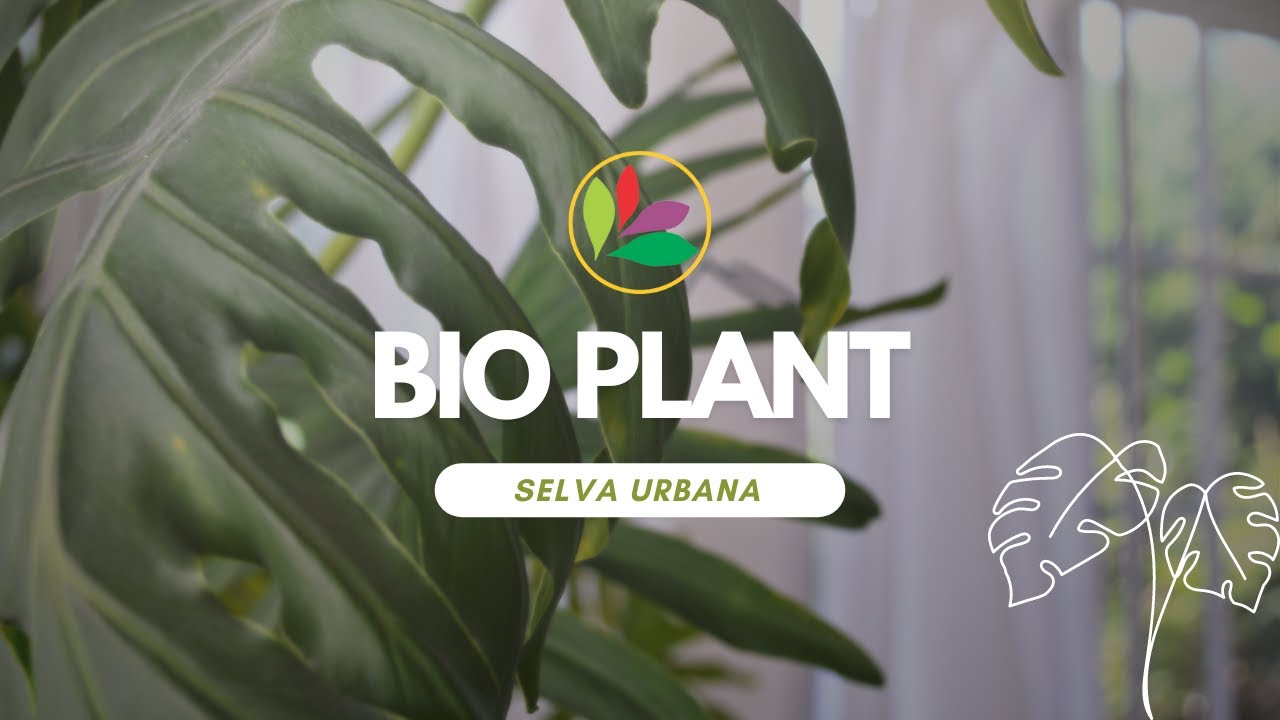 Bio Plant 🌱 - YouTube