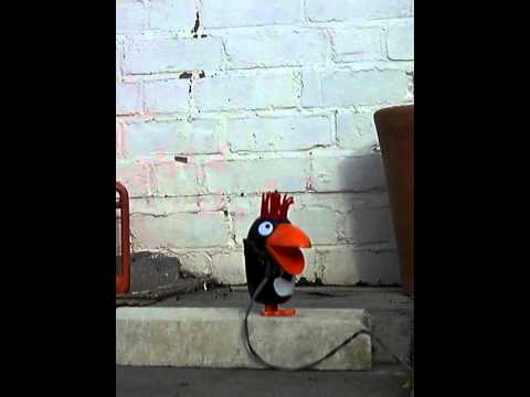 Punky The Penguin 1 - YouTube