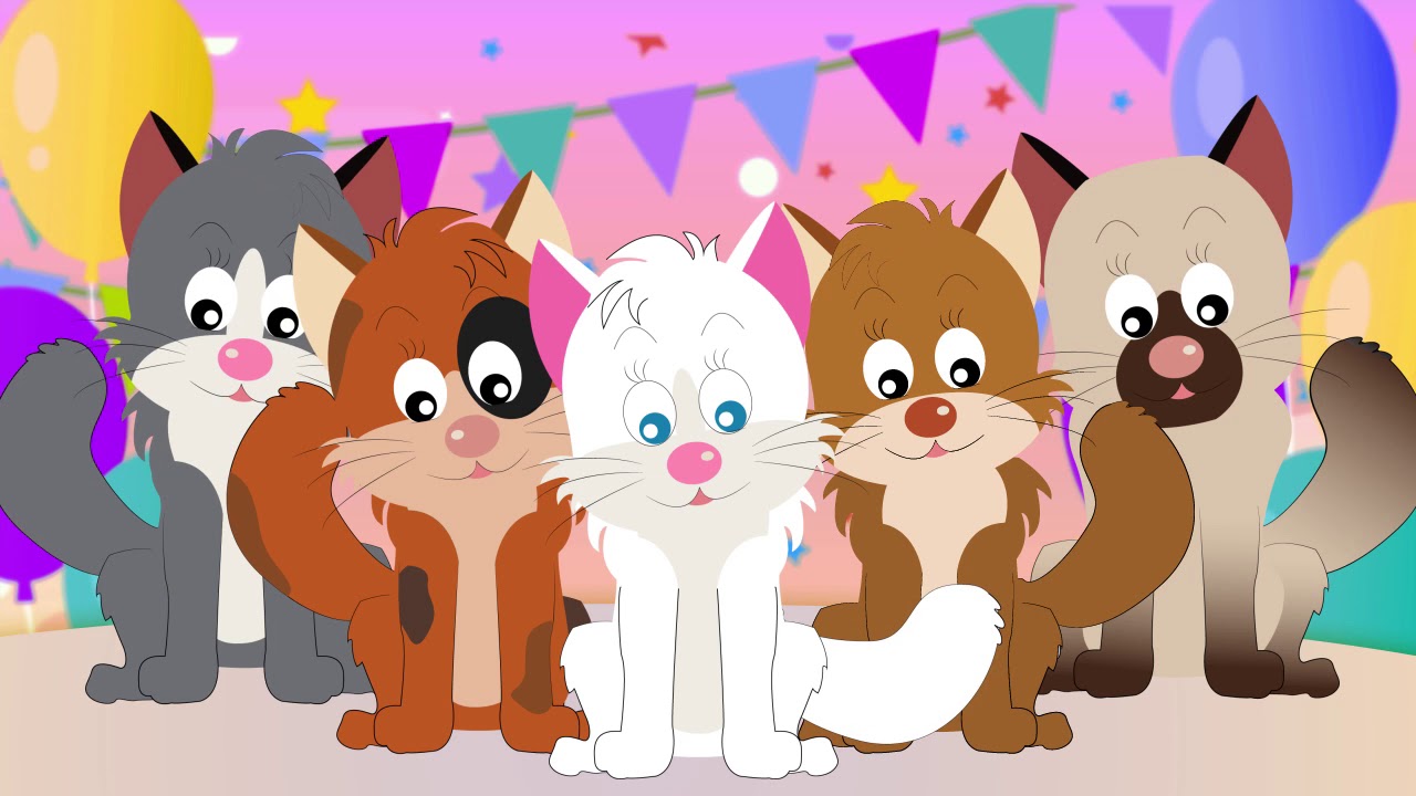 Happy Birthday Simba Pet Music for Your Cat - YouTube