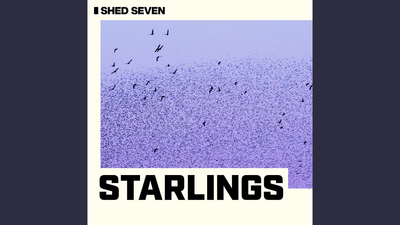 Starlings (Radio Edit) - YouTube