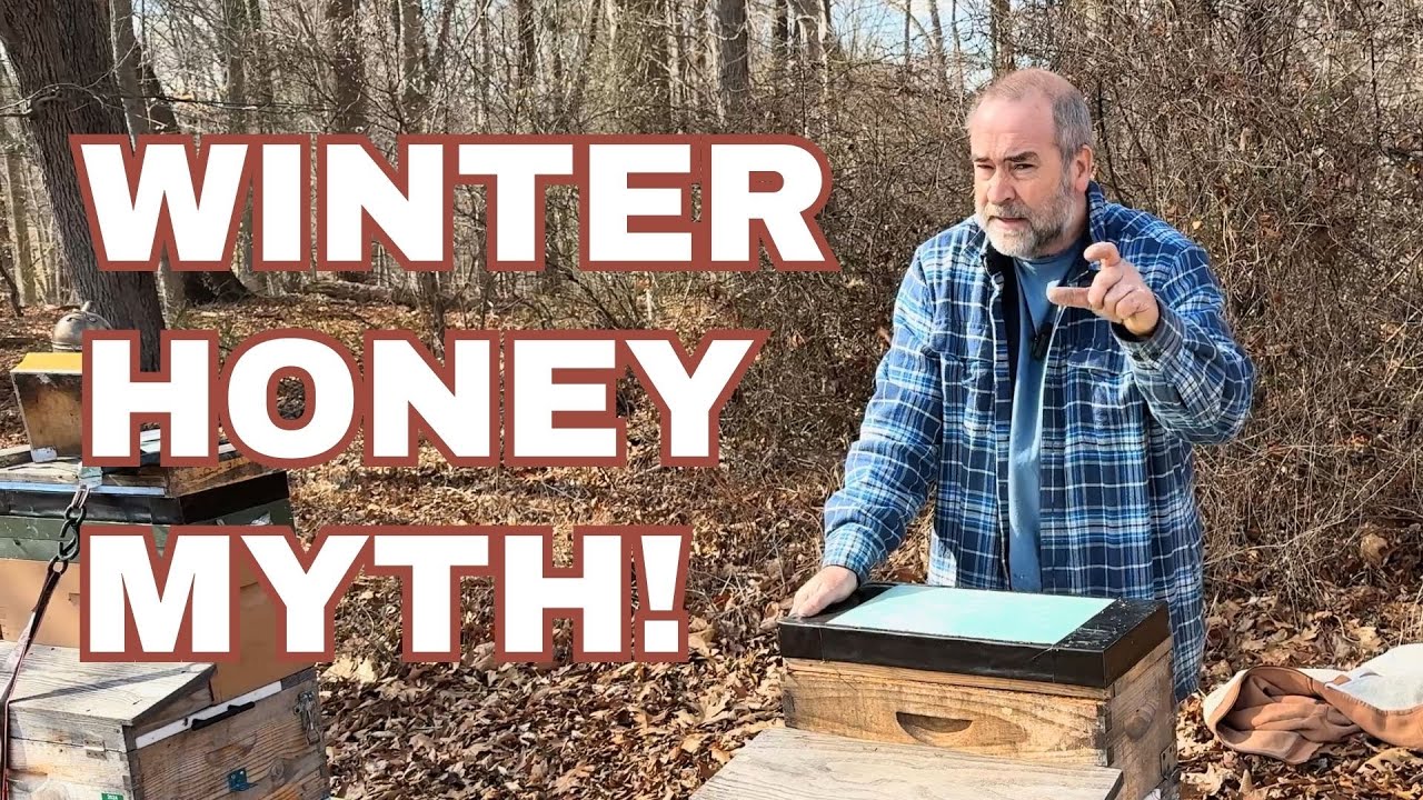 Early Spring Feeding, And How Small Hives With Less Honey Can Make It Through Cold Winters - YouTube