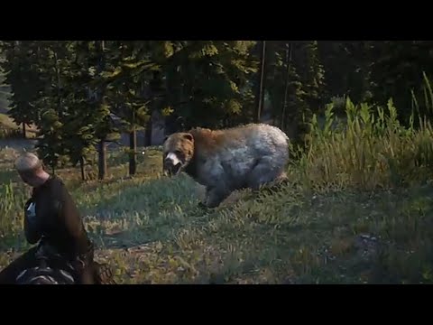 Cazando al nuevo oso kermode crestado legendario - Red Dead ONLINE ...