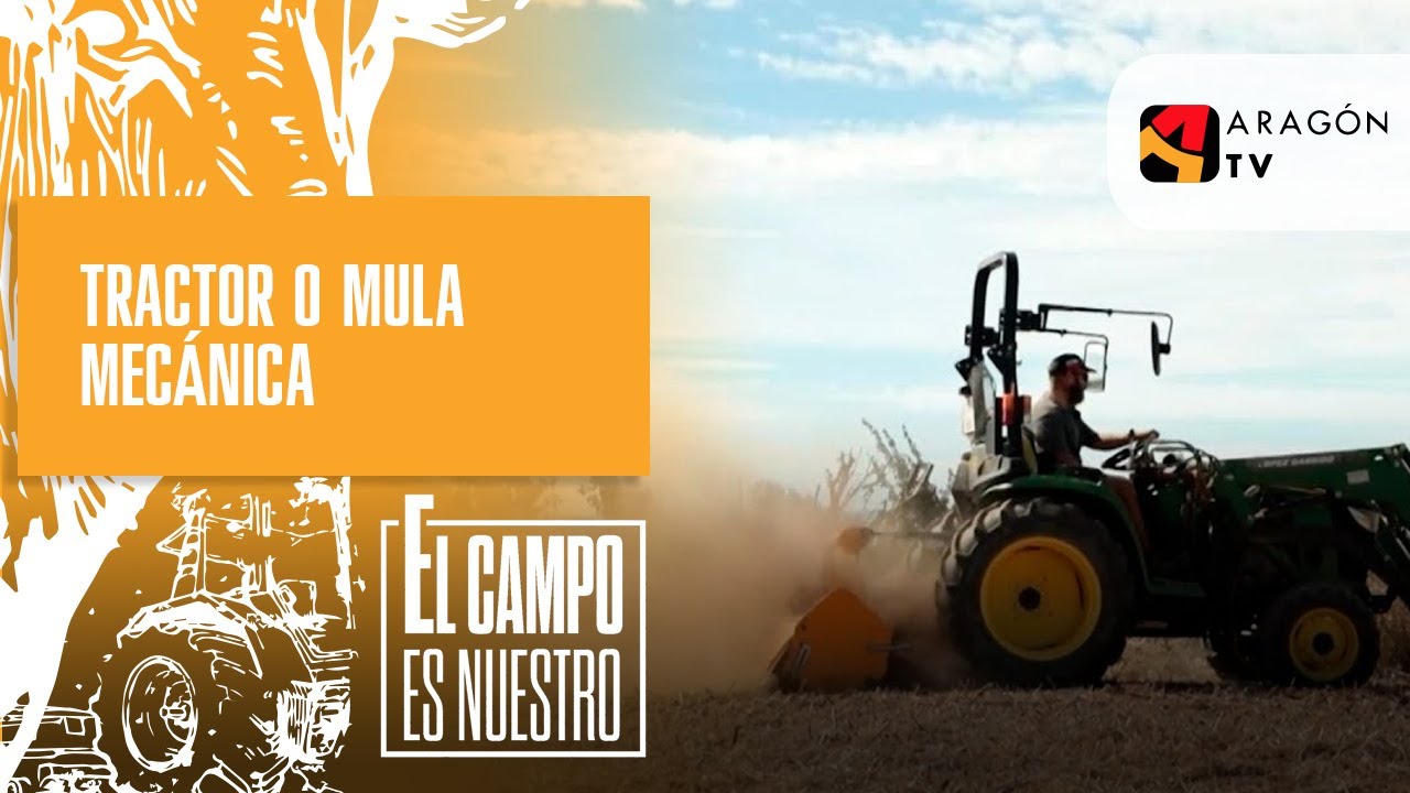 ¿Tractor o mula mecánica? - YouTube