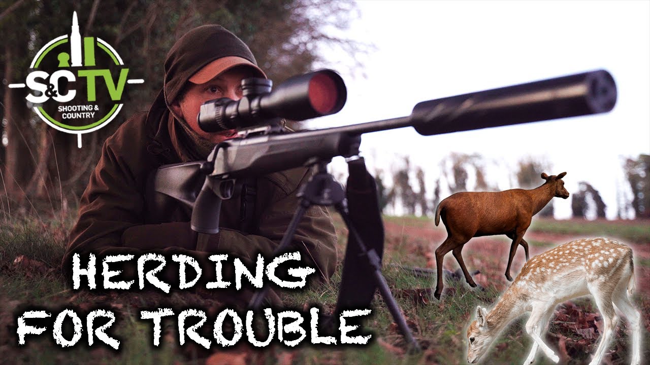 S&C TV | The trouble with stalking herding species... | Deer management with Chris Rogers 19 ...