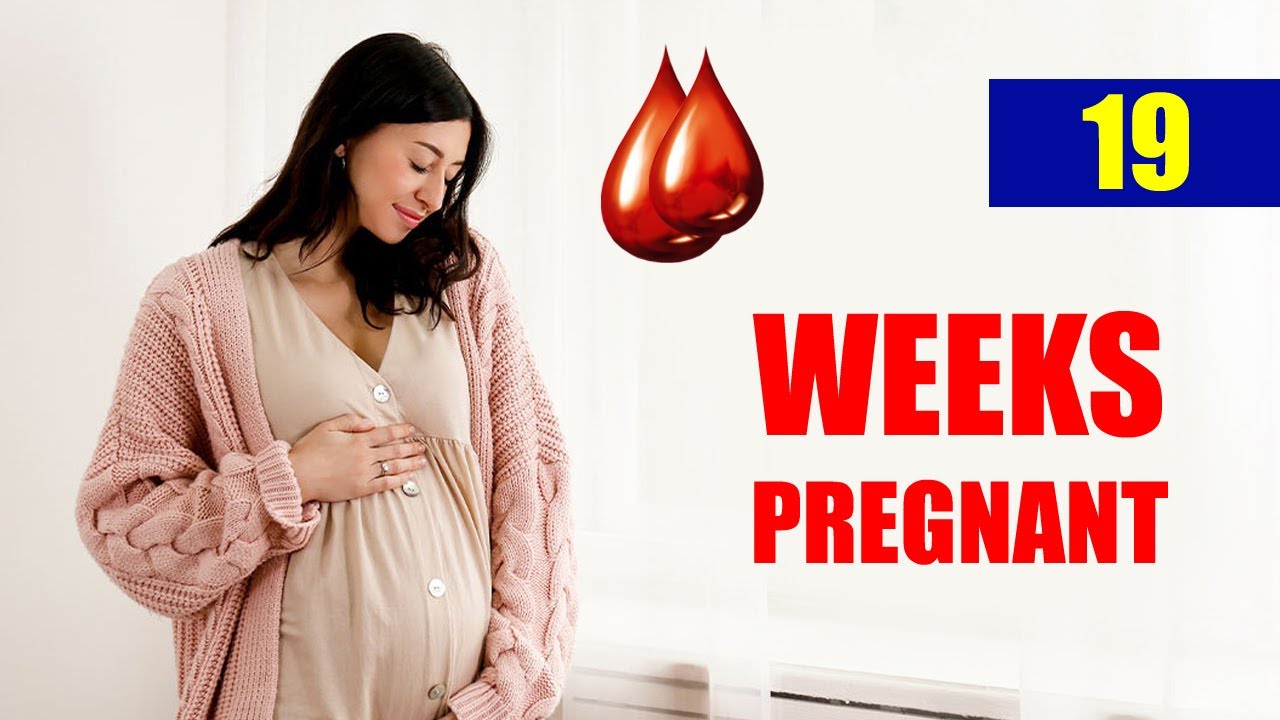 19 Weeks Pregnant Symptoms – Baby Size in Womb and Baby Movement - YouTube