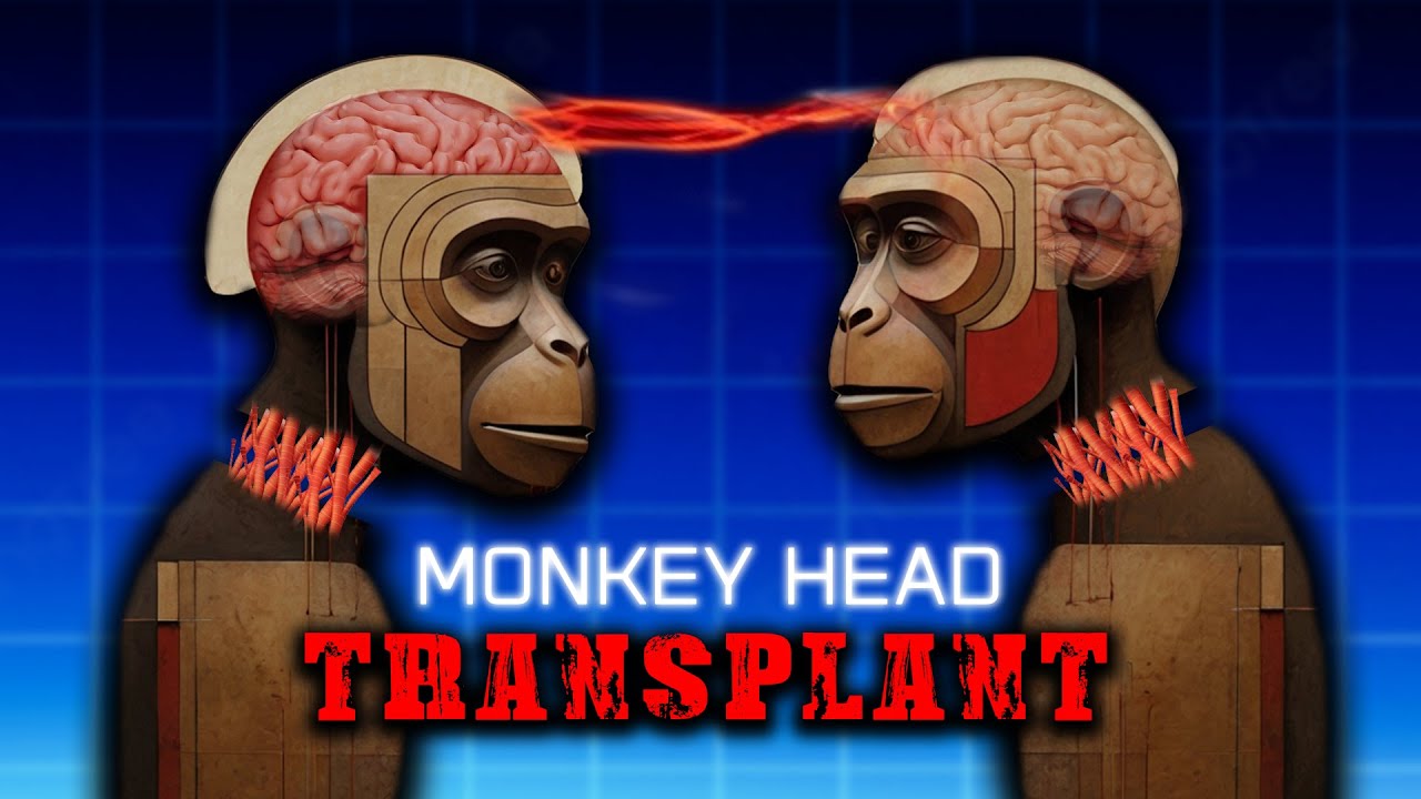 The Dark Side of Science: 3 Real Monkey Head Transplants - Science or ...
