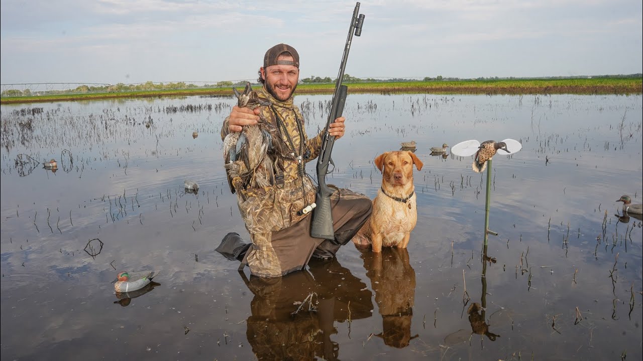 Hunting Ducks on A Beautiful Kansas Flooded Bean Field!! Limited Out ...