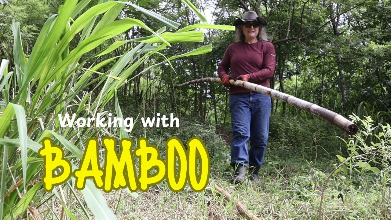 Get PERFECT Bamboo Cuts with This Simple Trick! - YouTube
