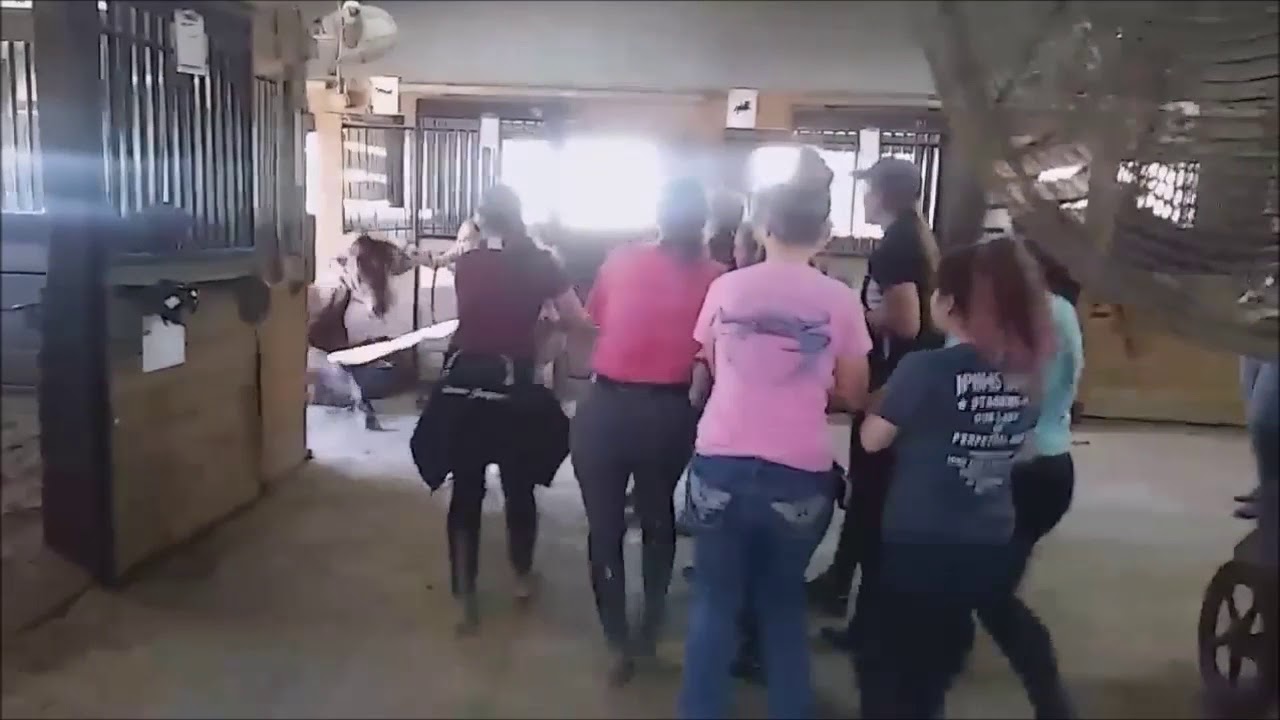 Cast Horse Assist - YouTube
