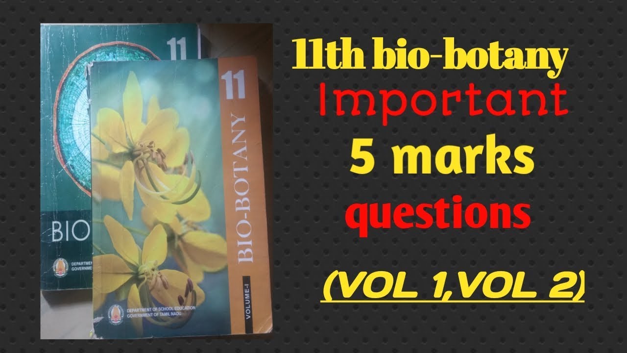 11th Bio botany Very Important 5 Marks Questions Volume 1 2 YouTube 11th-bio-botany-very-important-5-marks-questions-volume-1-2-youtube