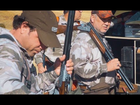 ATA TEAM PARTRIDGE HUNTING - ATA ARMS KEKLİK AVI 2017