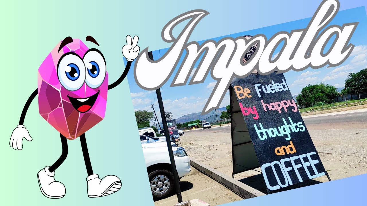 Lamb Rib Roll | delicious Roll | Impala meat market - YouTube