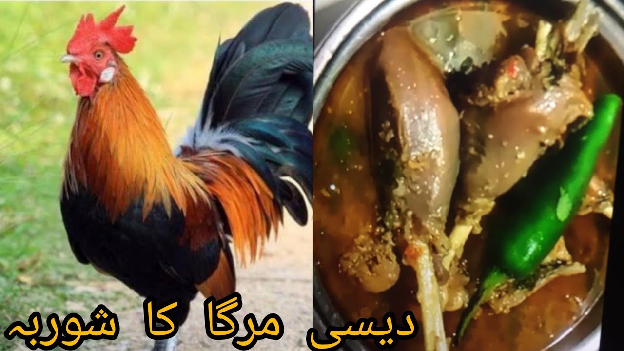 Desi Murga Ka Shorba || How To Make Desi Murga@phophukakitchen4766 ...