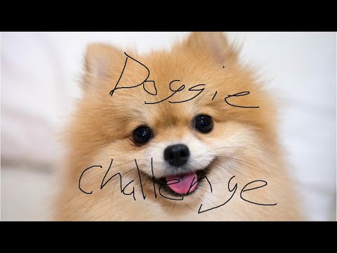 Doggie Challenge Progress - Geometry Dash - YouTube