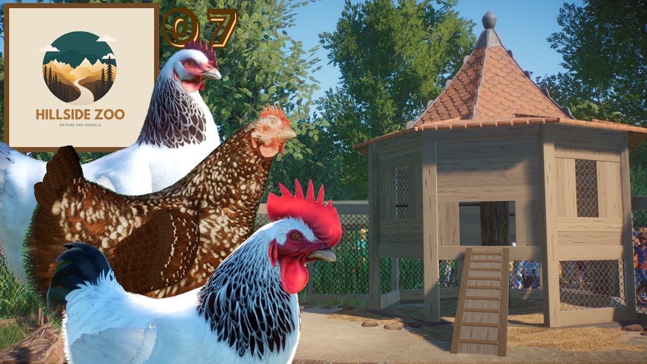 Chick, Chick, Chickens - HILLSIDE ZOO 07 - Planet Zoo - YouTube