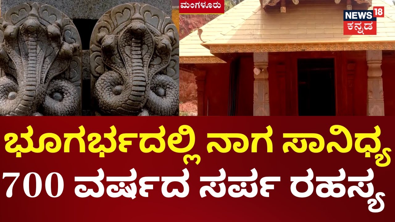 Mangalore Naga Devate | ಪೆದಮಲೆಯಲ್ಲಿ ತಲೆ ಎದ್ದಿದೆ ದೈವ ದೇಗುಲ - YouTube