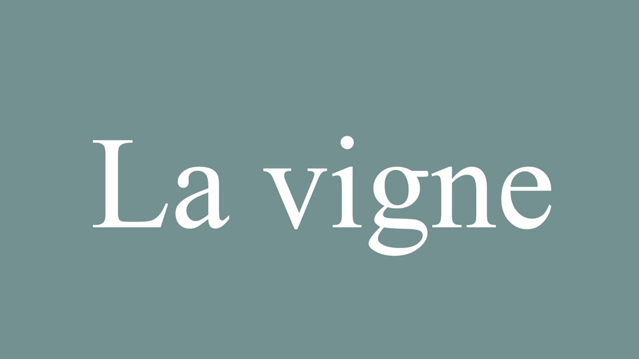 How to Pronounce ''La vigne'' (The vine) Correctly in French - YouTube