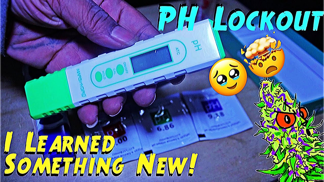 I Just Learned Something Crazy | Dealing With PH Nutrient Lockout - YouTube