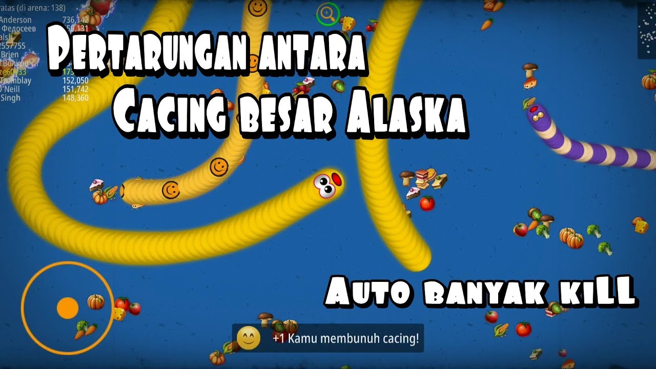 Menjebak semua cacing besar alaska.Worm zone Indonesia - YouTube