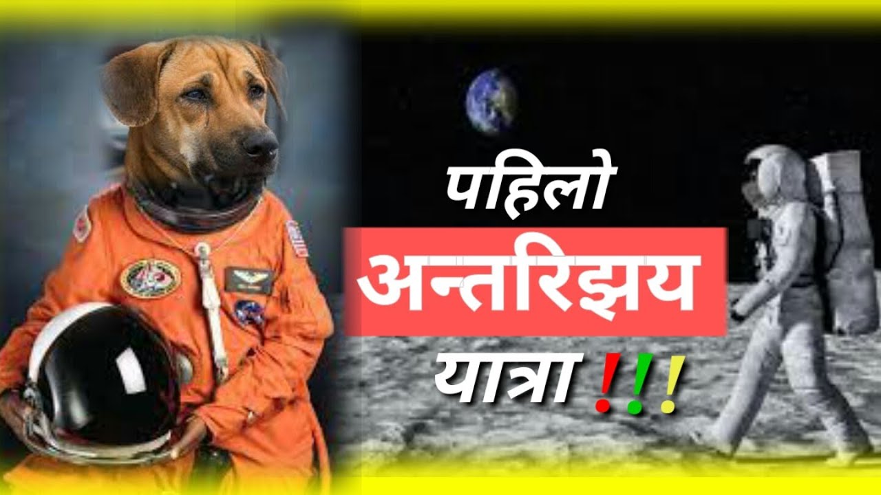 Story of first living creature in space - LAIKA | Nepali facts ...