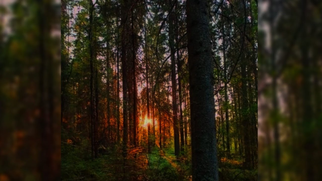 dyl dion-cannot be bothered (s l o w e d d o w n) - YouTube