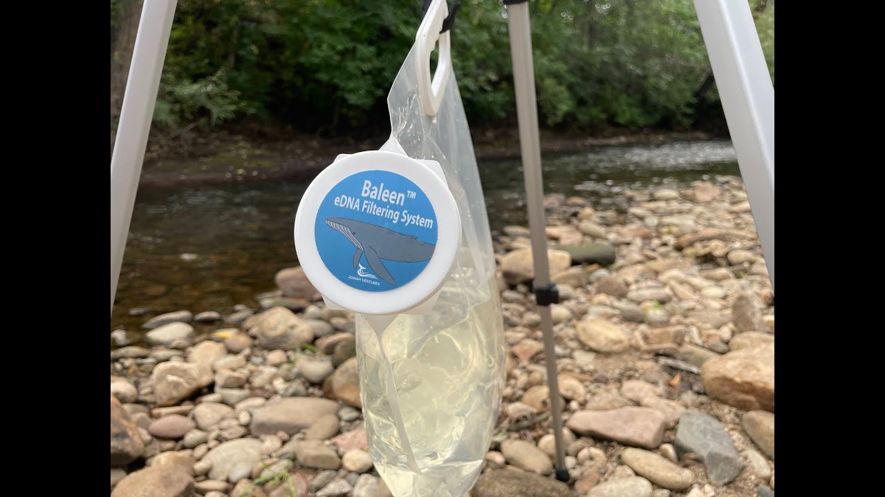 How To Sample eDNA with JonahWater Baleen Bag - YouTube