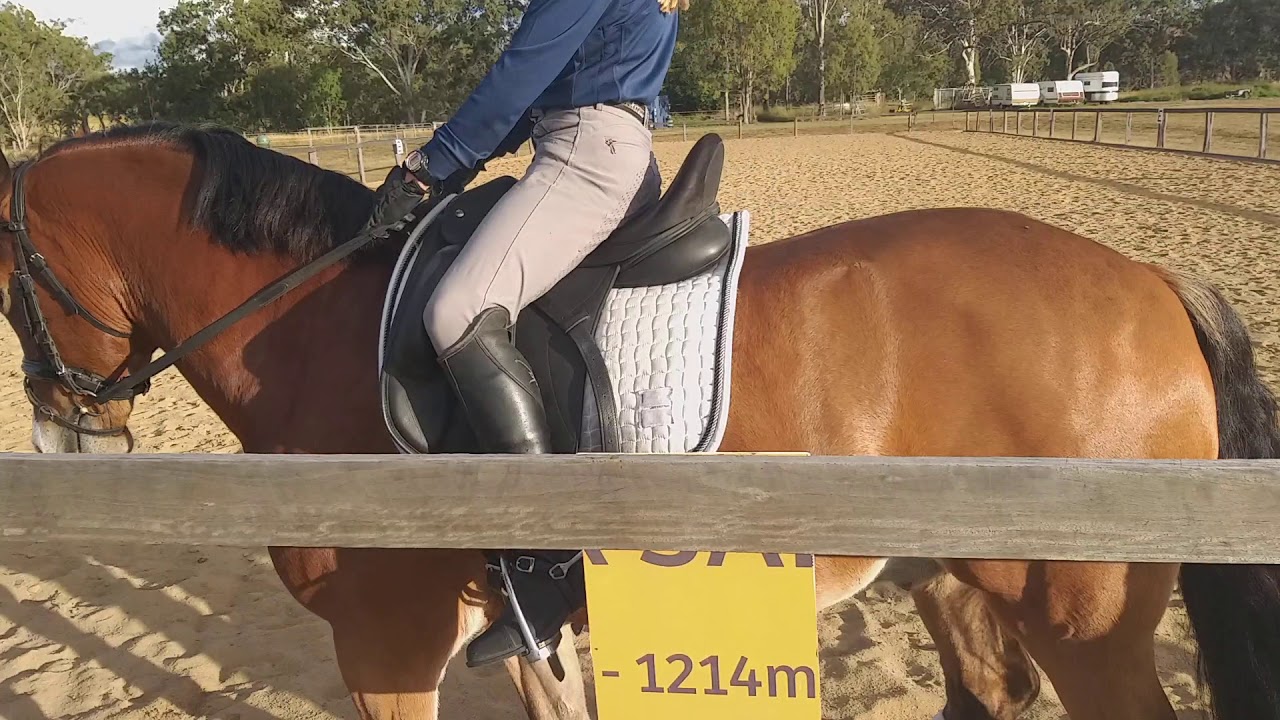 Annabelle Webb riding Salient Park Prince - YouTube