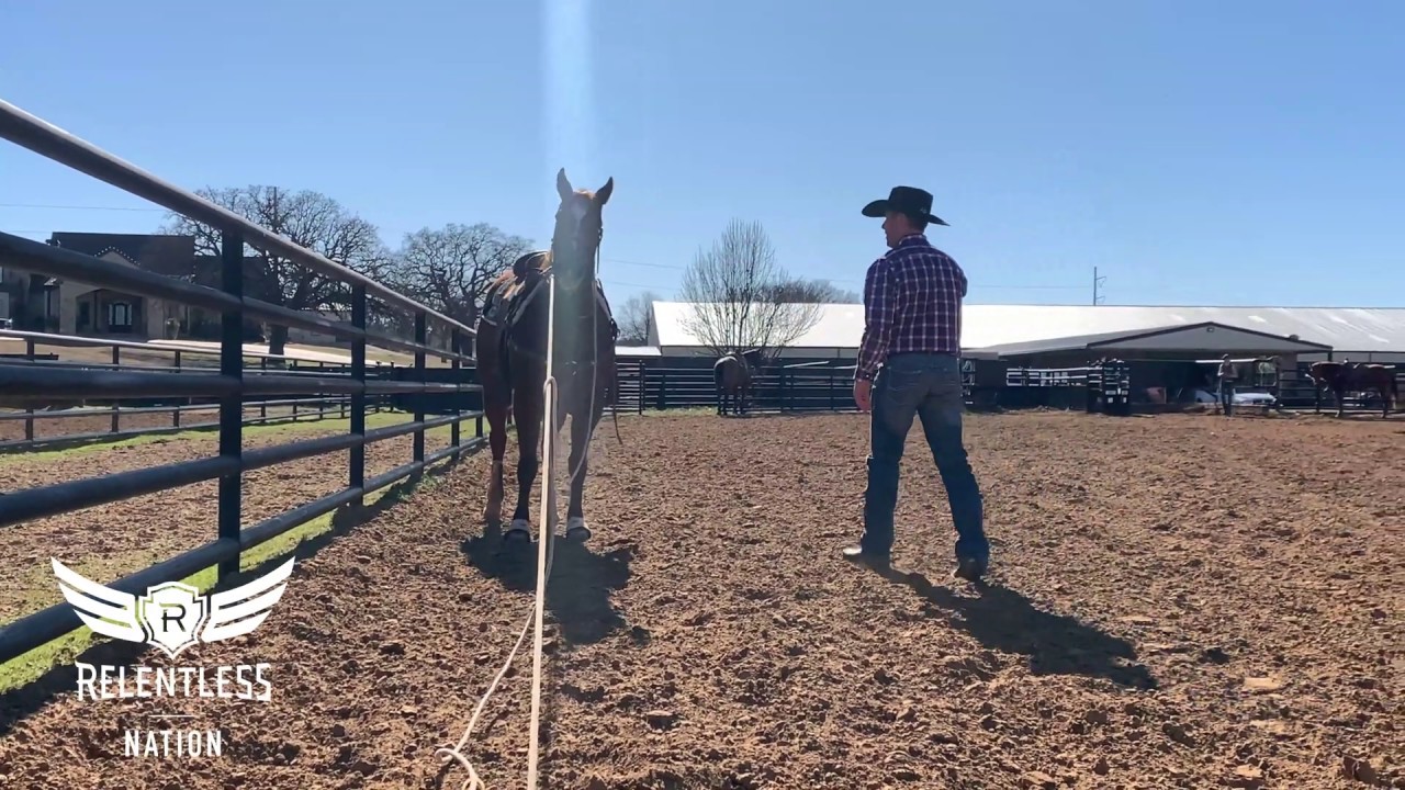 Trevor Brazile Working a Tie-Down Roping Horse on the Log - YouTube