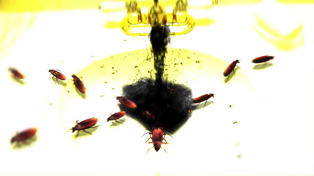 Cockroach Swarm - YouTube