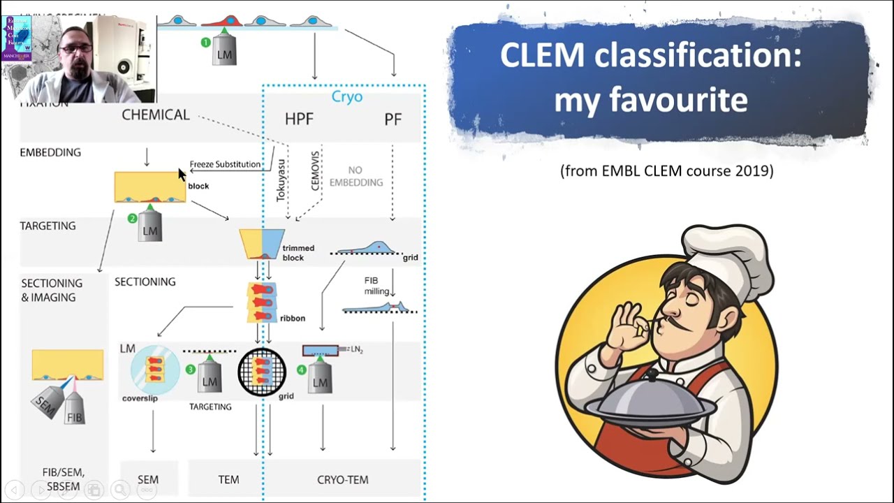 Correlative Light Electron Microscopy (CLEM) - YouTube