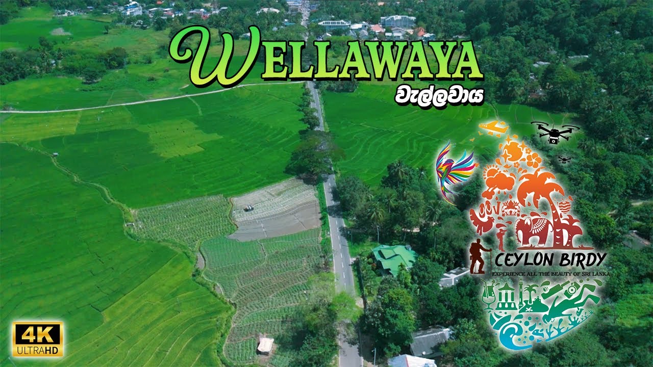 Wellawaya town view | වැල්ලවාය | Relaxing Birdview Adventure | Ceylon ...