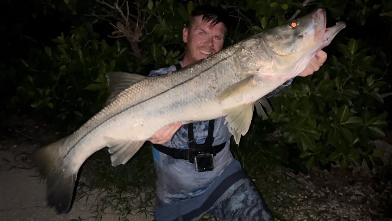 How To Catch Giant Snook Fishing Florida Islands in The Gulf of Mexico ...