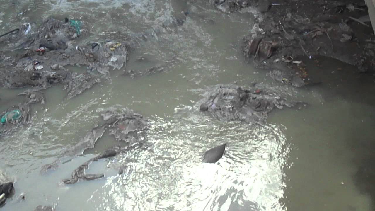 pollution in nairobi river - YouTube