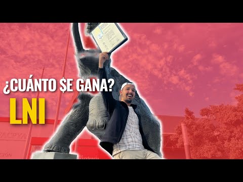 ¿Quieres estudiar Negocios Internacionales en la UANL? Mi experiencia y tour virtual por FACPYA ☝🏻