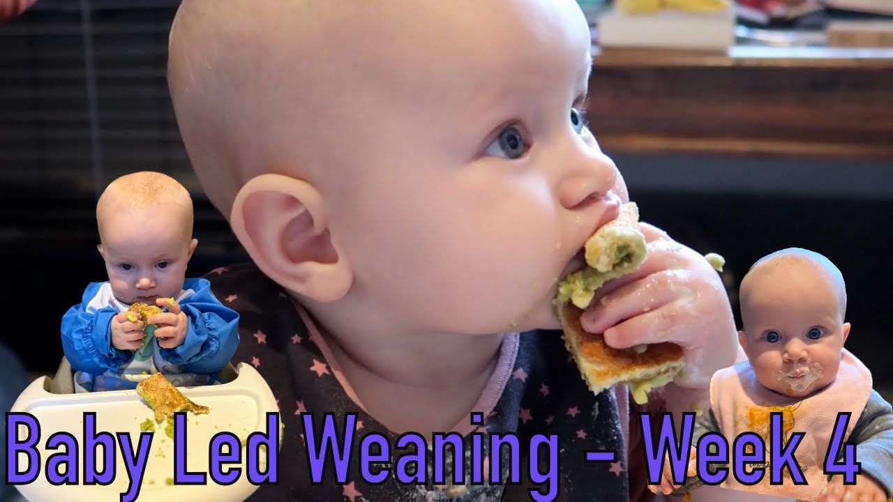 Baby Led Weaning Week 4 || My ideas and views on certain opinions with ...