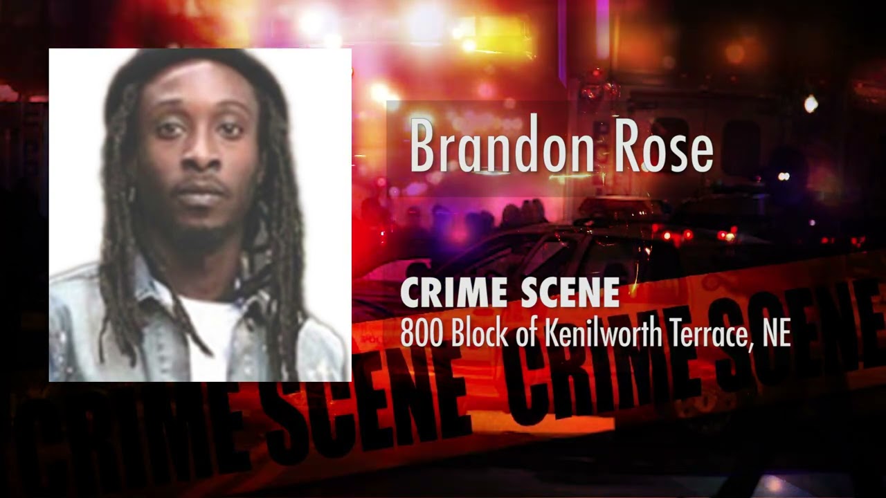 Crime Scene Murder Rose