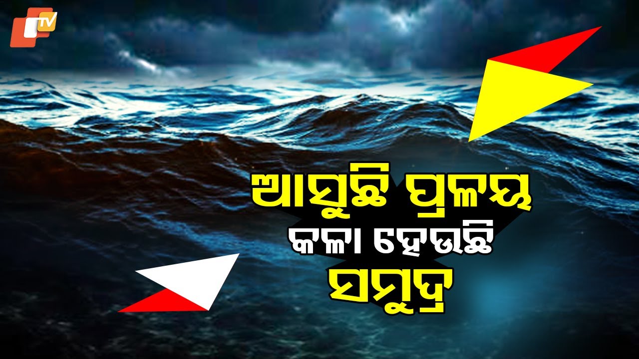 Special Story: Oceans Turning Darker, Scientists Warn of Looming Marine ...