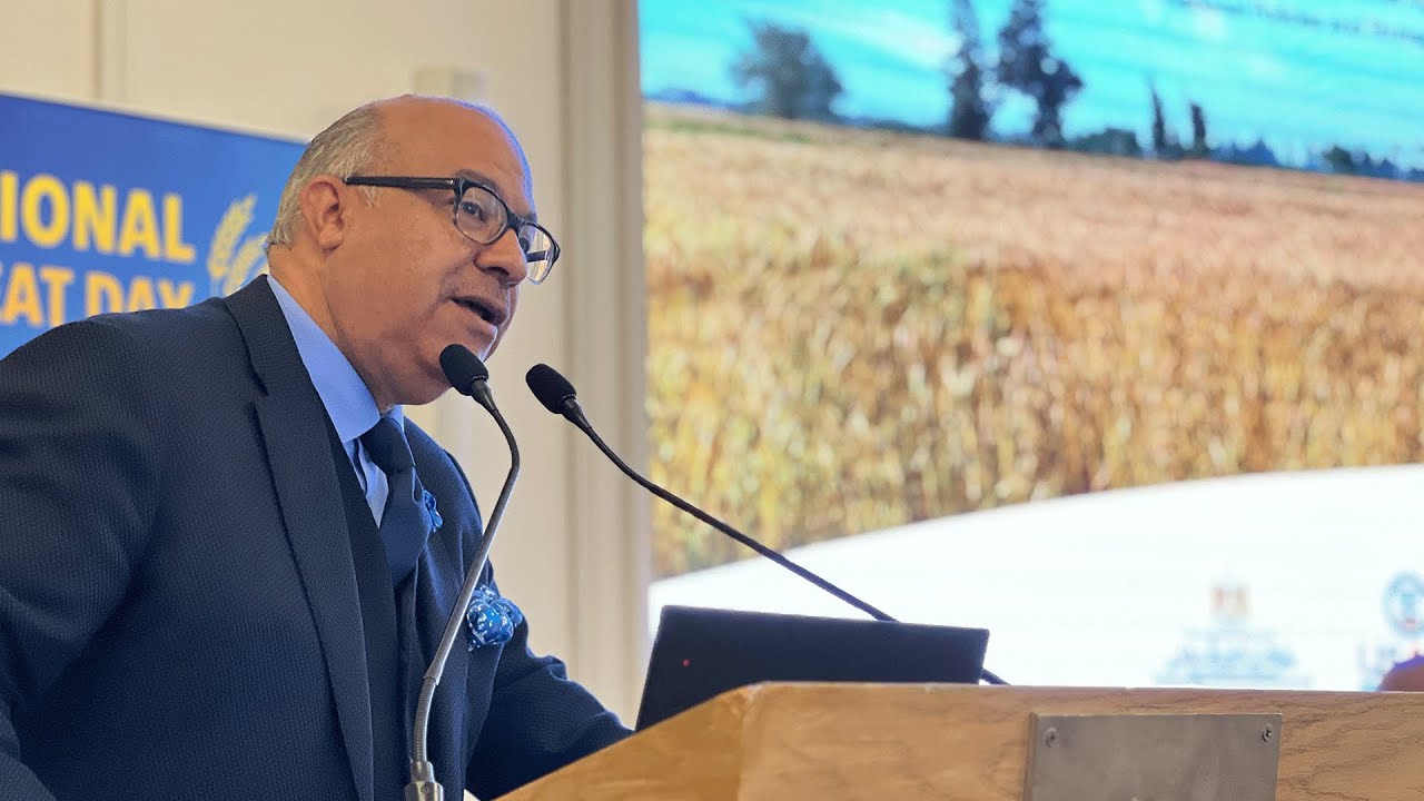 Dr.Ibrahim Ashmawy, Chairman of the Internal Trade Development Authority, interview. - YouTube