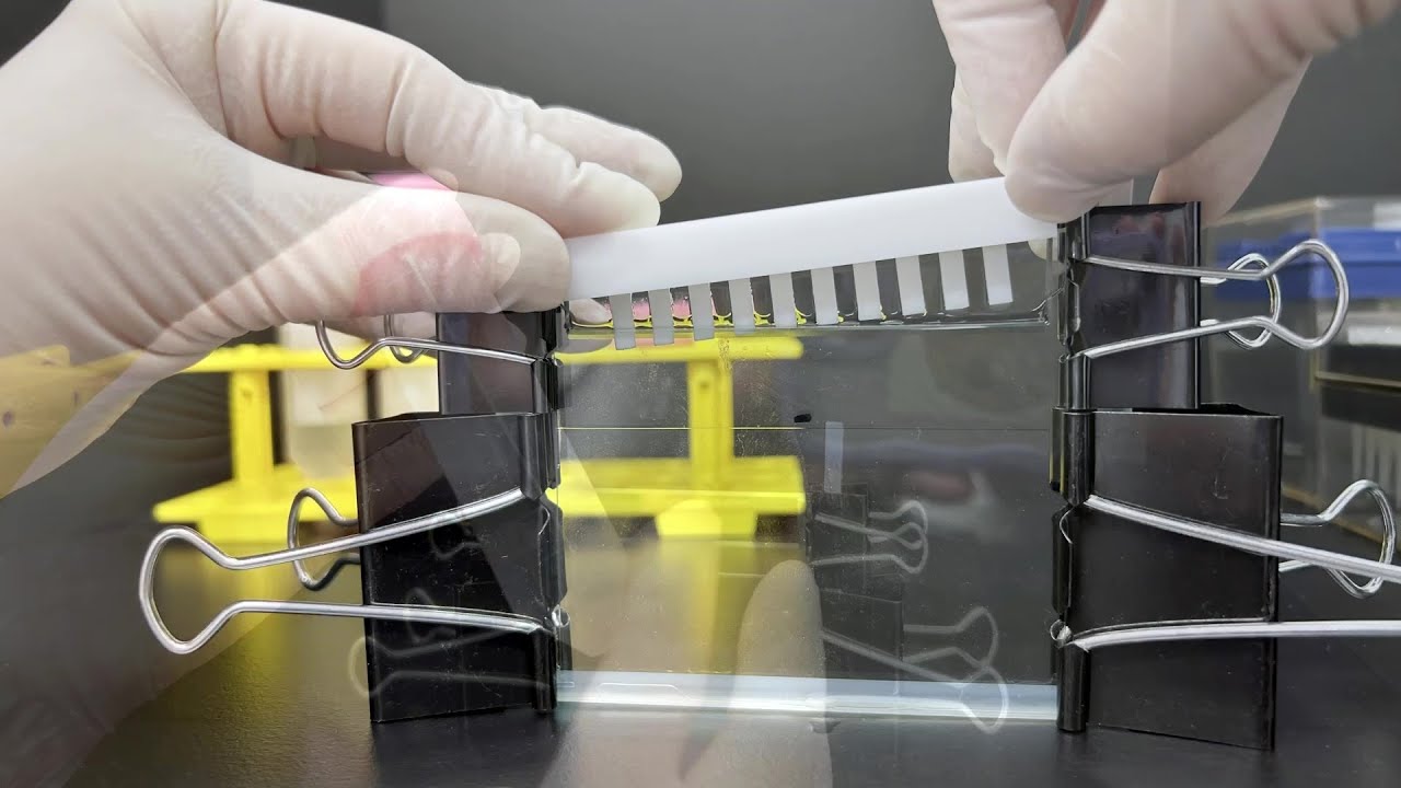 Preparation of a Polyacrylamide Gels (Laemmli Method) - YouTube