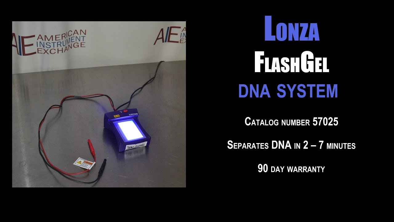 Lonza FlashGel DNA System (2008C ELECTRO) - YouTube