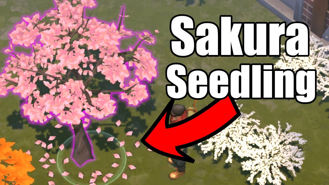 So I Unlocked the Sakura Sapling (Last Day on Earth) - YouTube