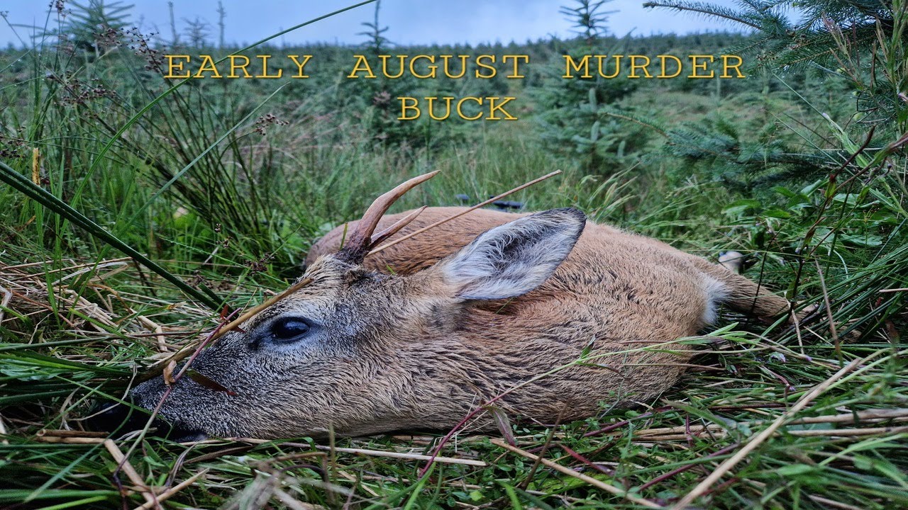 Early August Murder Buck Stalking - YouTube